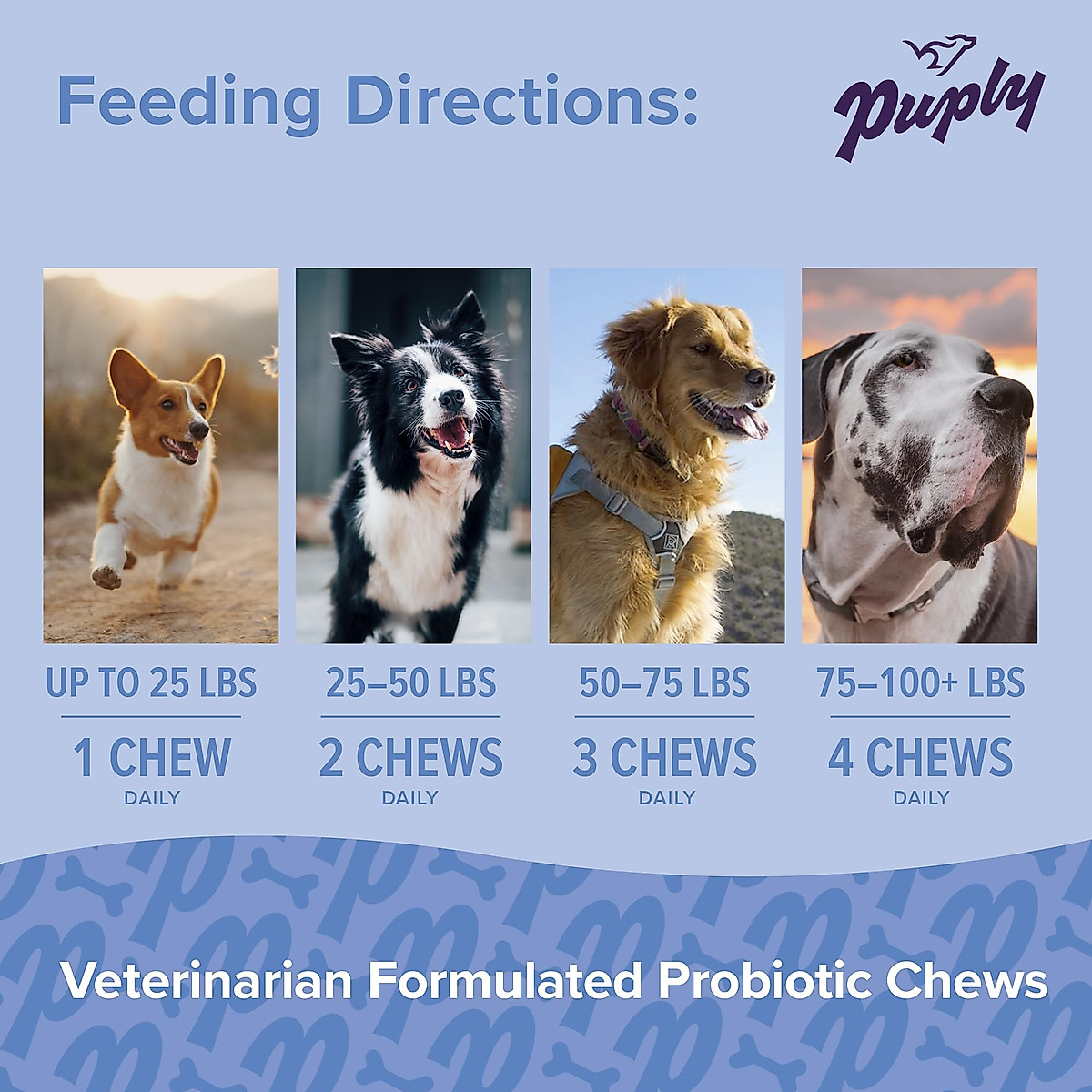 Puply Probiotics for Dogs- Veterinarian-Formulated- Beneficial Prebiotics and Probiotics- Supports Digestive, Immune, Gut Health, Allergy, Diarrhea, Yeast, Itching- Soft Chews- 90 Count- Duck Flavor