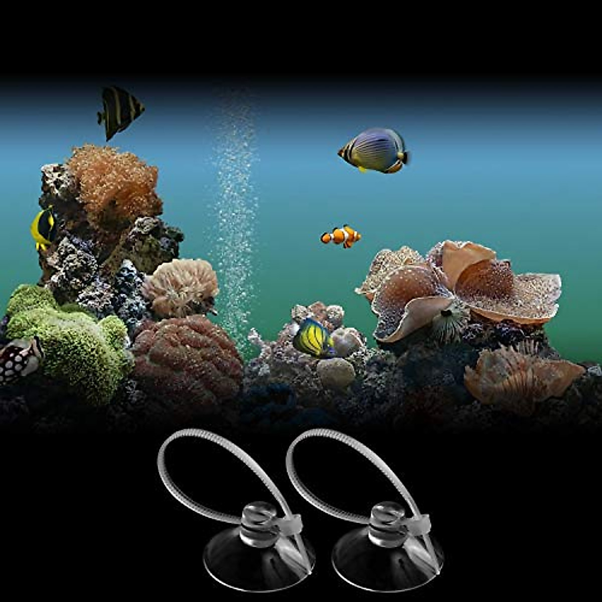 FEBSNOW Aquarium Suction Cups - 20 Pack Fish Tank Suction Cups Aquarium Suction Cup Clip Suction Hooks with 30 PCS Adjustable Cable Ties for Plants, Planter, Binding Moss Shrimp Nest