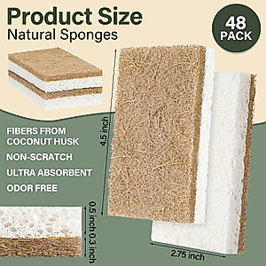 Tanlade 48 Pcs Natural Sponges for Dishes Biodegradable Sponges Kitchen Eco Friendly Scrub Sponges for Kitchen