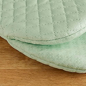 KitchenAid Asteroid Mini Oven Mitt, 5.5"x8", Pistachio 2 Count