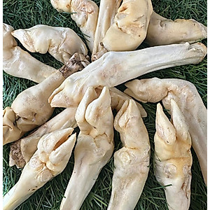 Lamb Trotter Dehydrated Dog Treats Glucosamine Lamb Treats for Dogs Chondroitin Hips and Joints Lean Hypoallergenic Protein Rawhide Free Safe Bones Alternative to Duck Feet Lamb Ears (12 to 16 Pieces)
