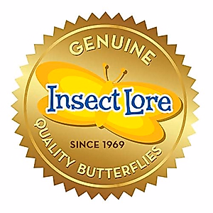 Insect Lore Butterfly Garden | 10 Live Baby Caterpillars | Habitat, STEM Journal, Chrys-A-Lids, Feeder | Raise and Release Painted Lady Butterflies