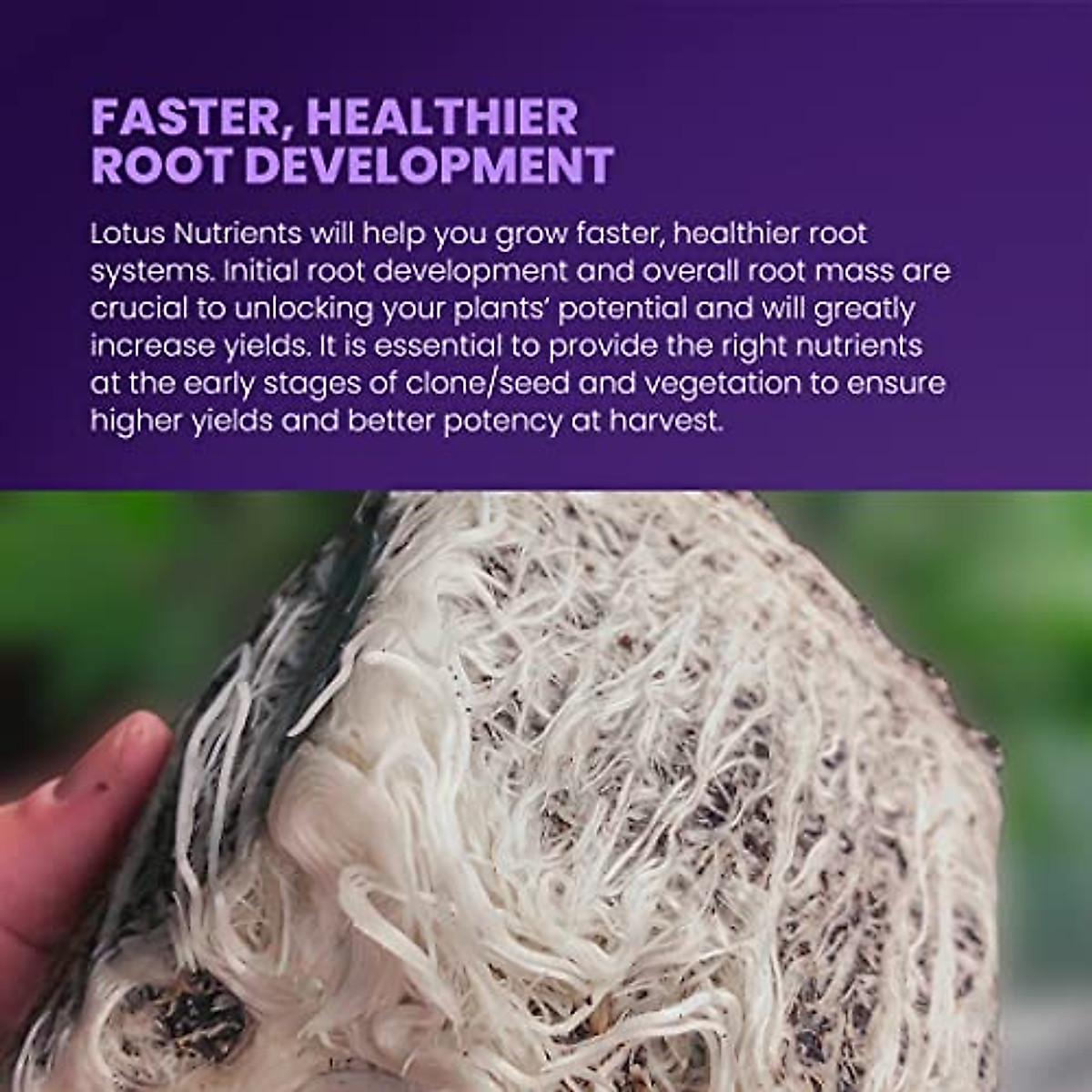 Lotus Nutrients Boost Pro Series - All Natural Powdered Plant Nutrients for Biggest Buds & Flowers Made for Hydroponic, Coco Coir, & Soil to Improve Potency & Taste for Indoor & Outdoor Gardens (18oz)