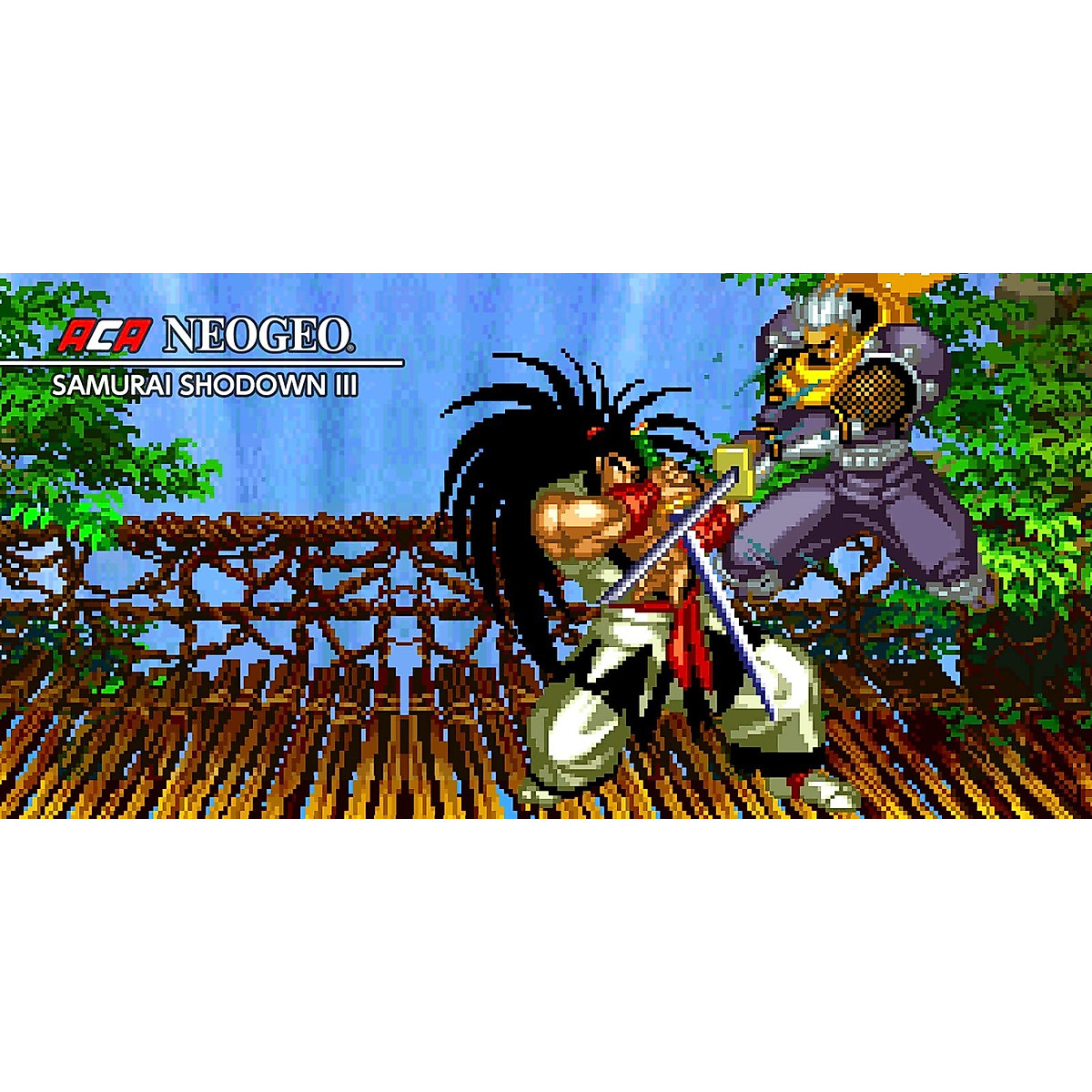 Samurai Shodown: Neogeo Collection (Switch) (Nintendo Switch)