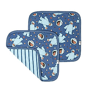 Copper Pearl Baby Security Blanket Set of 2 - Portable Size for Self-Soothing On-The-Go, Ideal Baby Blankets for Boys and Girls, Ultra-Soft, and Gift-Ready Loveys - Cookie Monster