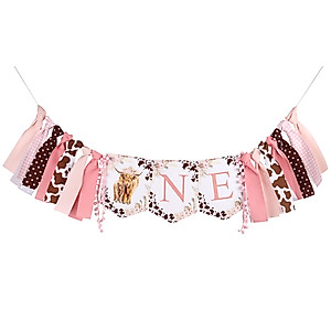 Highland Cow 1st Birthday Decorations Girl - Highland Cow High Chair Banner, Boho Highland Cattle Party Decorations, Pink Holy Cow Im One Farm Animal Birthday Party Decorations