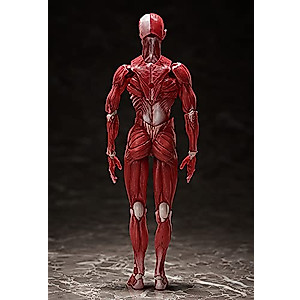 FREEing Human Anatomical Model Figma Action Figure,Multicolor