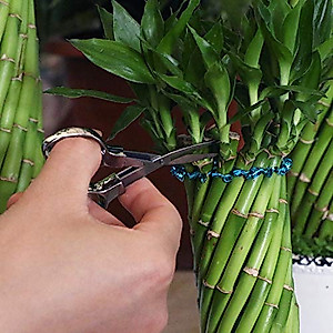 Sanlykate Bonsai Tool Kit 8pc, Basic Trimmer Set Include Pruner, Fold Scissors, Tweezer, Spades, Rake