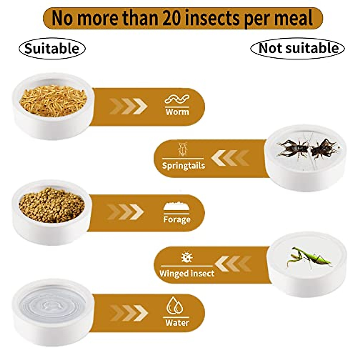 Reptile Food Water Bowl Set Lizard Feeder Ceramics Bowls Worm Live Fodder Container for Bearded Dragon Chameleon Lizard Hermit Crab Gecko Tortoise Spider Pet 3 Pieces