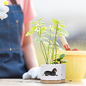 Whonline Dachshund Dog Planters, Cute Succulent Pots Dachshund Gifts for Women, Small Ceramic Flower Pots with Bamboo Tray, Weiner Dog Plant Pots Gifts for Friends Birthday Gift Set