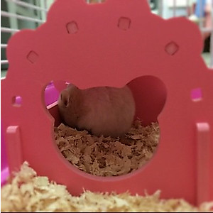 Hamster House Cage Wood Chew Toy DIY Colorful Hut for Hamster Gerbil Rat Small Animals Hideout with Free Hamster Lead Leash (L, Green)