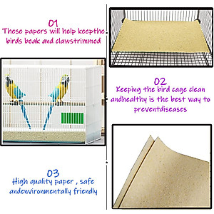 40PCS Gravel Liner Paper for Bird Cage,11x17 in Bird cage Liner Paper-Gravel Paper Special for Bird Cage in Sea Sand,Parrot Cage Sandpapers Cushion Pad Pet Bedding Accessories (40PCS 11 x 17 Inch)