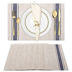 Winknowl Placemats, Set of 8 Heat Resistant Stain Resistant Non-Slip Woven Vinyl Insulation Placemats, Washable Durable Elegant Table Mats for Dining (Beige Blue)