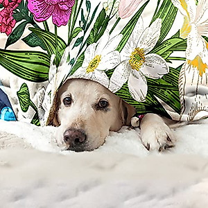 Happy Retirement Gifts Retirement Blanket,Plush Blanket Soft Throw Blanket for Couch,Retirement Gifts for Women Cozy Blanket 50x60 Inch