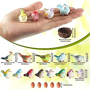 Jetec 30 Pieces Fairy Garden Accessories Bird Decorative Figurines Miniature Bird Figurines for Fairy Garden, Dollhouse Miniature, Cake Topper, Micro Landscape, Yard Bonsai Decal, Home Decoration
