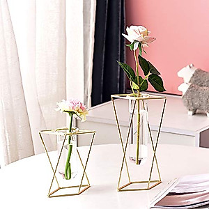 Aoderun Glass Flower Vase with Metal Stand Modern Geometry Desktop Glass Planter Indoor Hydroponics Plants for Home Office Garden Wedding Decor (Gold, M)