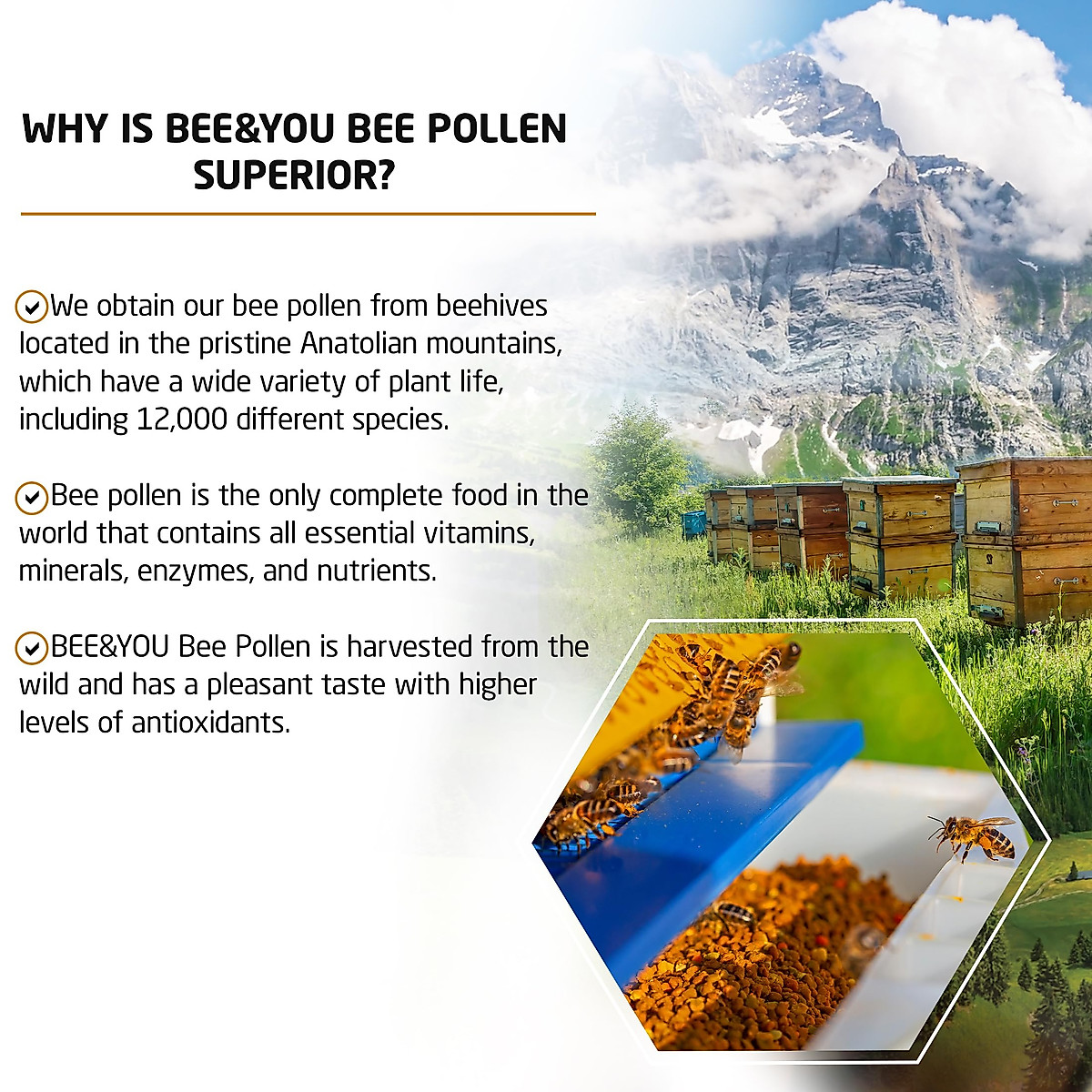 Bee and You - 100% Raw Pure Bee Pollen Granules, Amino Acids, Antioxidants, Enzymes, Vitamin B, Paleo, Keto Friendly, Gluten Free, Natural Superfood & Bee Pollen Supplement | 5 Oz Bag