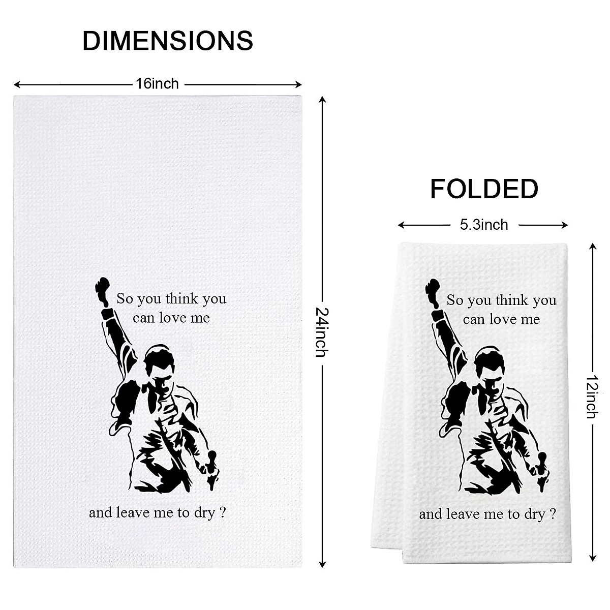 WCGXKO Song Lyrics Inspired Kitchen Towel So You Think You Can Love Me and Leave Me to Dry Dishcloth (Leave Me to Dry)