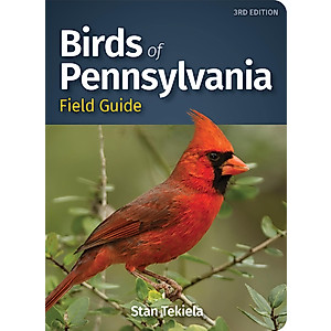 Birds of Pennsylvania Field Guide (Bird Identification Guides)