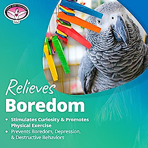 Super Bird Creations SB304 Triangle Teasers Bird Toy, Large Bird Size, 28" x 11"