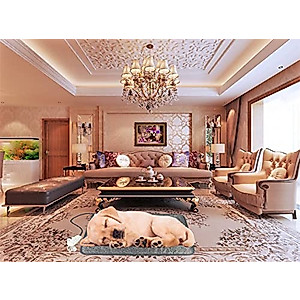 DEOMAN Pet Heating Pad for Dogs Heated cat Bed mat Indoor Electric Dog Heating pad cat Heating pad Chew Proof Cord,Large Size,Easy Clean