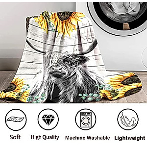 Highland Cow Blanket Super Soft Flannel Sunflower Cow Throw Blanket Warm Lightweight Blanket for Adults Kids Gifts 50"X40"