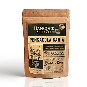 Hancock's Pensacola Bahia Grass Seed - Coated - 50 lbs.