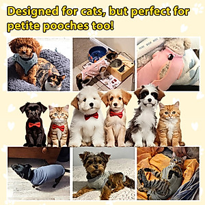 MiaoBarky Cat Recovery Suit Female to Prevent Licking Scratching, Kitten Onesie for Cats After Surgery Surgical Abdominal Wound with Adjustable Drawstrings, Cat Cone Alternative