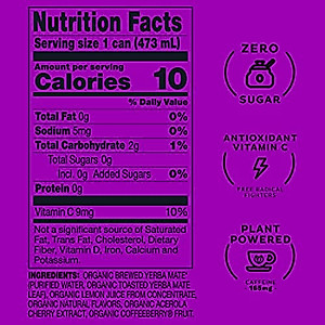 Steaz Antioxidant Brew Organic Yerba Mate Tea 16 oz. Pack of 12 (Unsweetened Elderberry)