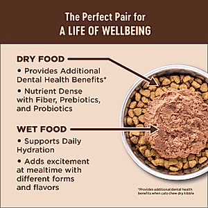 Wellness CORE Pate Adult Wet Cat Food, Natural, Protein-Rich, Grain Free, 3 Ounce, 12 Pack (Turkey & Duck)