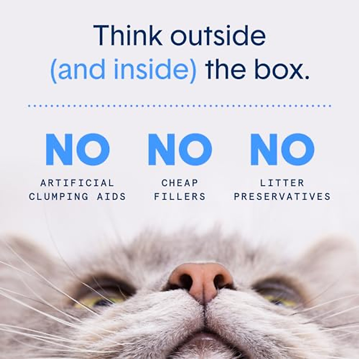 Boxie® Gently Scented 30 Day Natural Odor Control Cat Litter, 40lb Clumping Clay Kitty Litter