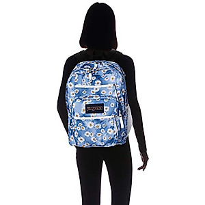 JanSport Traditional Backpacks, Daisy Haze, One Size