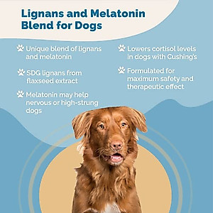 Lignans & Melatonin Blend Naturally Aids in Relieving Symptoms of Cushing’s Disease in Dogs | Helps Promote Healthy Adrenal Balance & Overall Well-being | by Prana Pets | 3 MG Melatonin, 20 MG Lignans