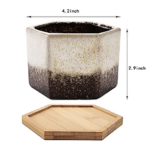 TOPZEA Set of 5 Ceramic Succulent Planter Pots, 4.2 Inch Hexagon Ceramic Glazed Cactus Pots, Geometric Mini Flower Plant Container with Drainage Hole & Bamboo Tray for Decorating Home Office