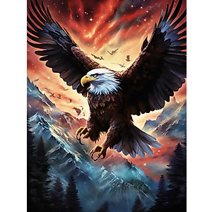Bimkole 5D Diamond Painting Kits, Full Drill DIY Rhinestone Embroidery Set Paint with Diamonds Art by Number Kits Cross Stitch Home Wall Craft Decoration (12x16 inch)#b193