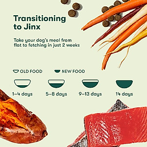 Jinx Salmon, Sweet Potato, Carrot & ALS Kibble Dry Dog Food, 11.5 lbs.