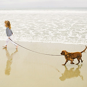 Wellbro 15ft Long Leather Dog Leash,Double Handle Dog Leash,Tieout for Yard, Camping, and Outdoors - Dog Run Cable for Total Control and Off-Leash Feel, Great for Large, Medium, Service Dogs