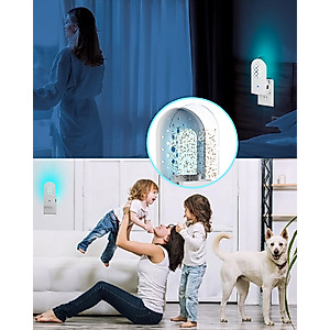 Double-Sided Glue Card Fly Trap Indoor with Plug-in UV Light, Noiseless Fruit Fly Traps for Indoors, Gnat Traps for House Indoor Pest Control, Sticky Mosquito Trap Flying Insect Trap Killer Catcher