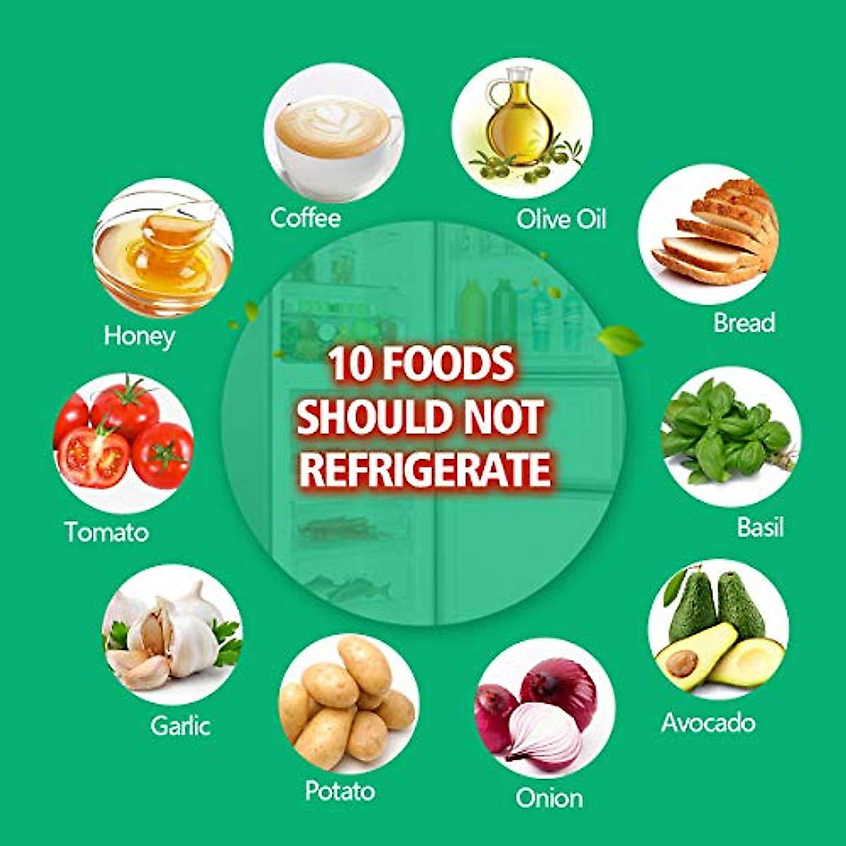 Kitchen Conversion Chart Magnet and Magnetic Fridge Freezer Shelf Life Guide for Cooking, Baking and 35 Common Food Preservation