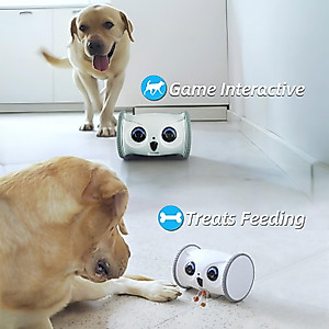 SKYMEE Owl Robot: Mobile Full HD Pet Camera with Treat Dispenser, Interactive Toy for Dogs and Cats, Remote Control via App (2.4G WiFi ONLY)