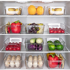 HOMER Set Of 14 Clear Plastic Refrigerator Organizer Bins and Fridge Storage Bins, Fridge Storage Containers, Perfect for Fridge Organizer, Kitchen Storage, and Cabin Organizer