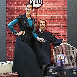 Brick Wall Party Backdrop, Red Brick Wall Backdrop for Magical Wizard Wall Decoration, Kids Birthday Wizard School Party Supplies, Halloween Door Curtains Decoration (Red)