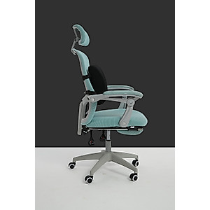 Lumbar Support Pillow for Office Chair - Improve Back Pain, Posture While Sitting - Memory Foam Cushion with Adjustable Strap for Desk/Gaming Chair, Car, Couch, Recliner