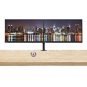 Lenovo ThinkVision S24e-20 23.8" Full HD 1920 x 1080 WLED LCD Monitor 2-Pack Bundle with Mini Speaker, 250 Nit, FreeSync, HDMI-VGA, Raven Black, & Adjustable Desk Mount Monitor Stand