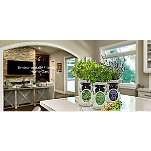 Environet Hydroponic Herb Growing Kit, Self-Watering Mason Jar Herb Garden Starter Kit Indoor, Windowsill Herb Garden, Grow Your Own Herbs from Organic Seeds (Lavender)
