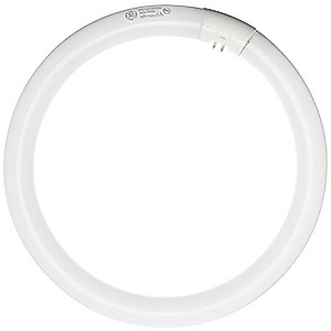 GE Lighting FC12 T9 Garage & Basement Circline Fluorescent Light Bulb, Cool White Finish, 32-Watt, 1950 Lumen, 12-Inch Circular Diameter, 1-Pack