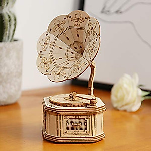 Rowood 3D Puzzles for Adults,Wood Model Kits for Adults, DIY Craft Gifts for Kids Teens- Hot Air Balloon (122 Pieces)