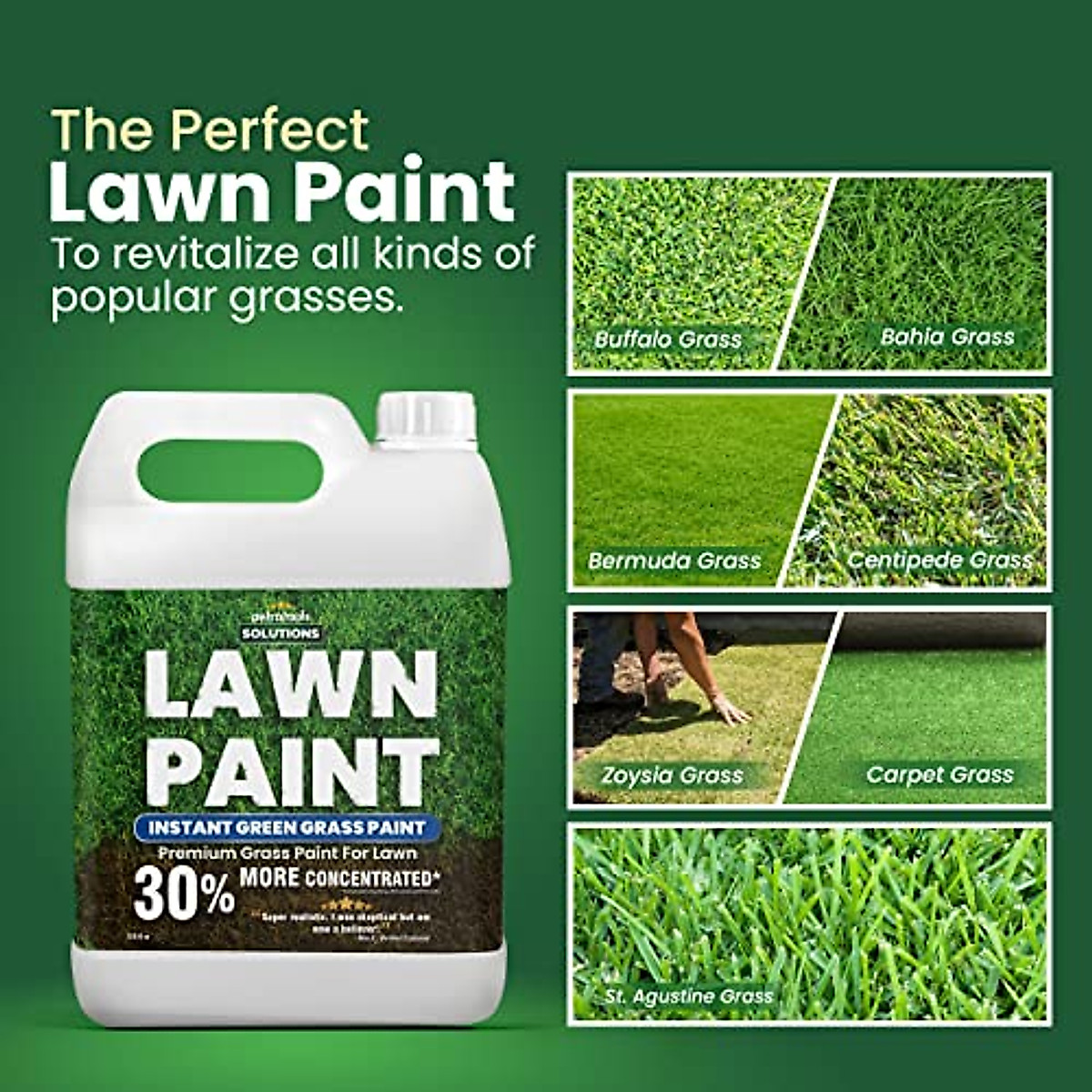 PetraTools Lawn Paint, Green Grass Lawn Spray Grass Paint For Lawn, Green Lawn Spray, Green Grass Spray For Lawn & To Grass Spray Paint Grass Green, Green Dye for Lawn Spray on Grass (1 Gal)