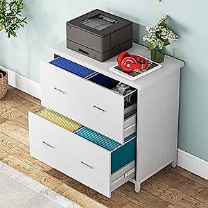 Tribesigns 2-Drawer File Cabinet, Wood Lateral Filling Cabinet Printer Stand Office Credenza Storage Cabinet for Home Office, Letter Size (White)