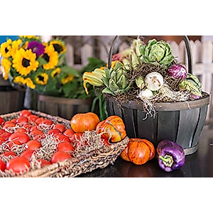 SuperMoss (26911) Spanish Moss Dried, Natural, 8 Ounces